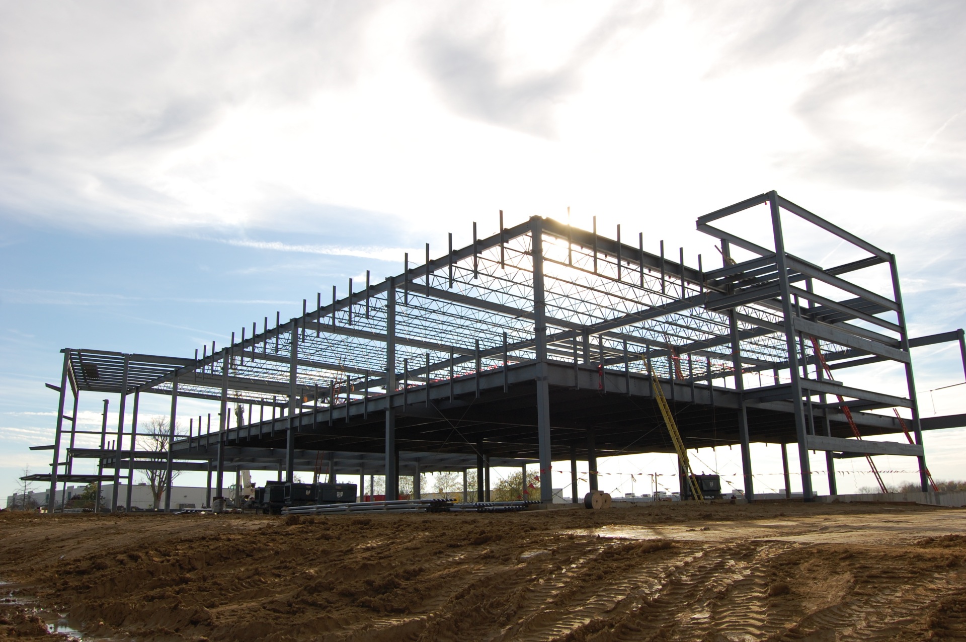 Home – George Steel