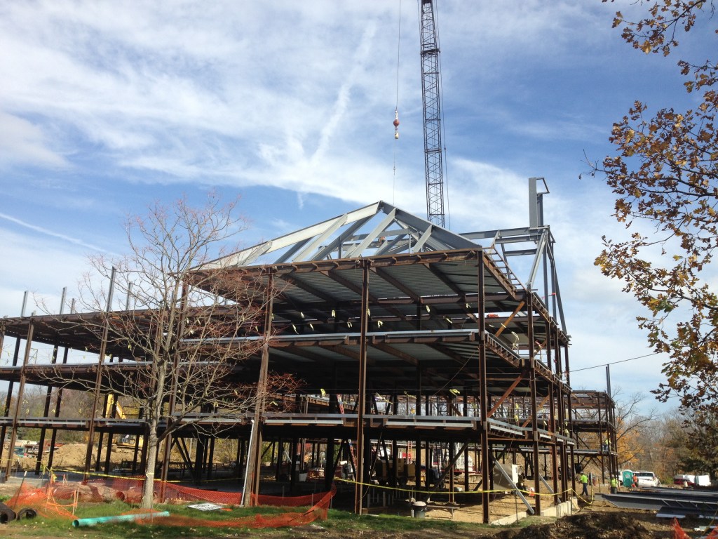 Portfolio – George Steel